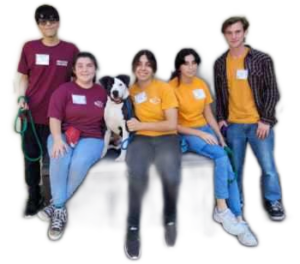 Be part of our team!